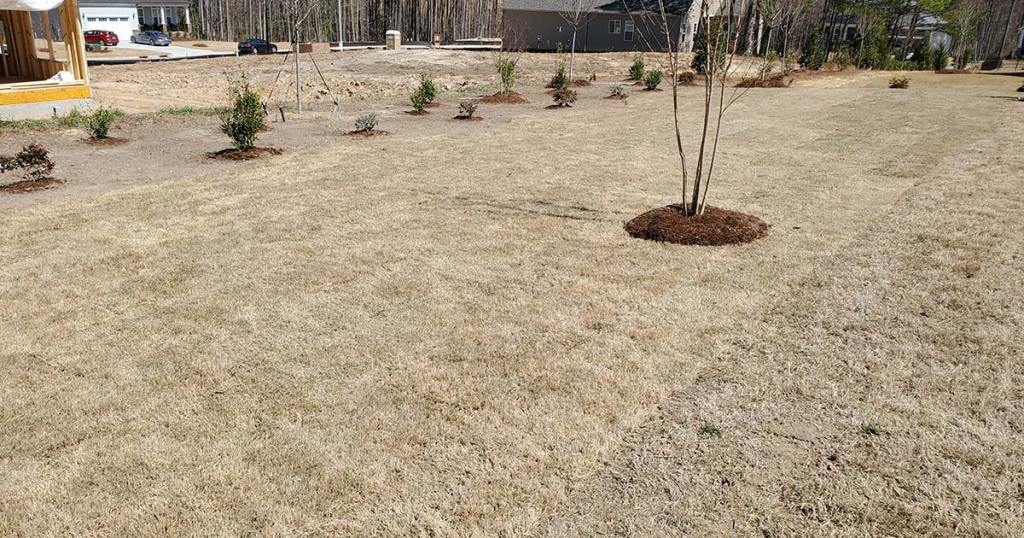 Why Winter Is A Great Time To Lay Sod | Peak Sodding