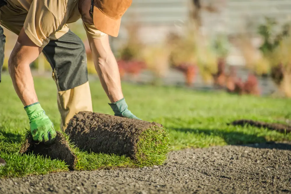 How to Care for New Sod in the First 6 Weeks | Peak Sodding